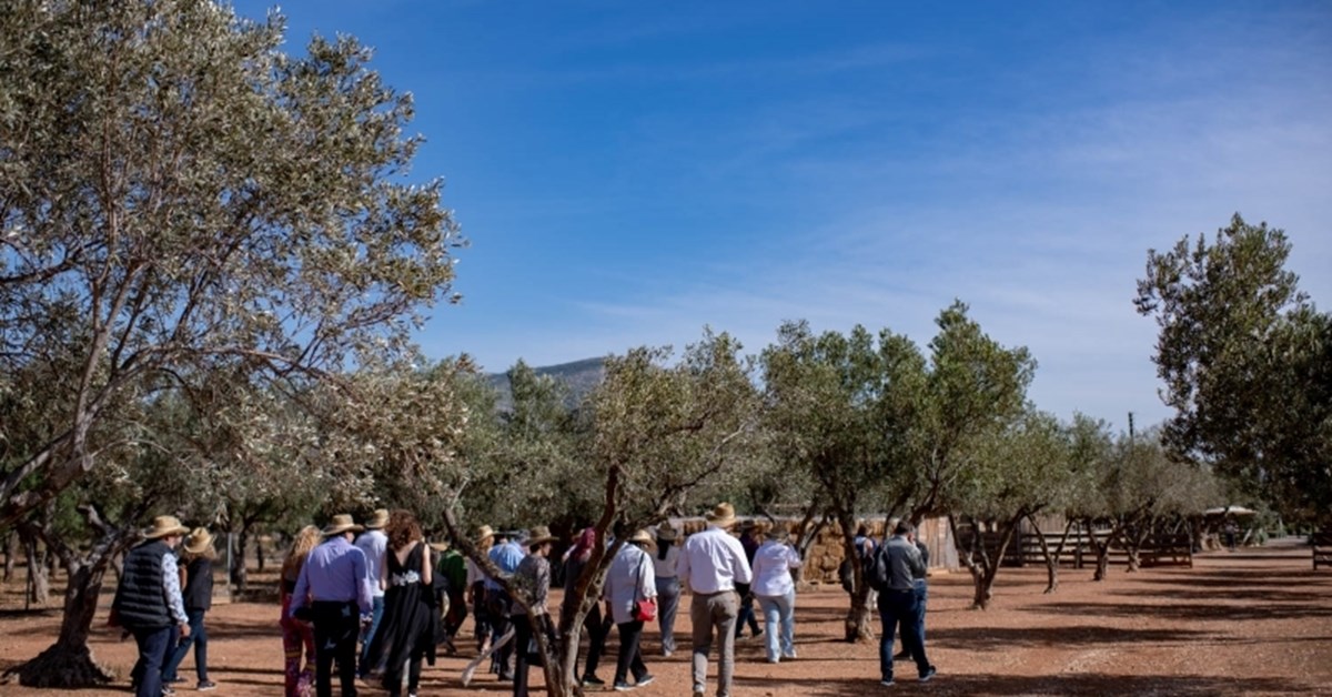 Sobi: Η εταιρεία που χαρίζει "σπάνια" δύναμη σε "σπάνιους"...