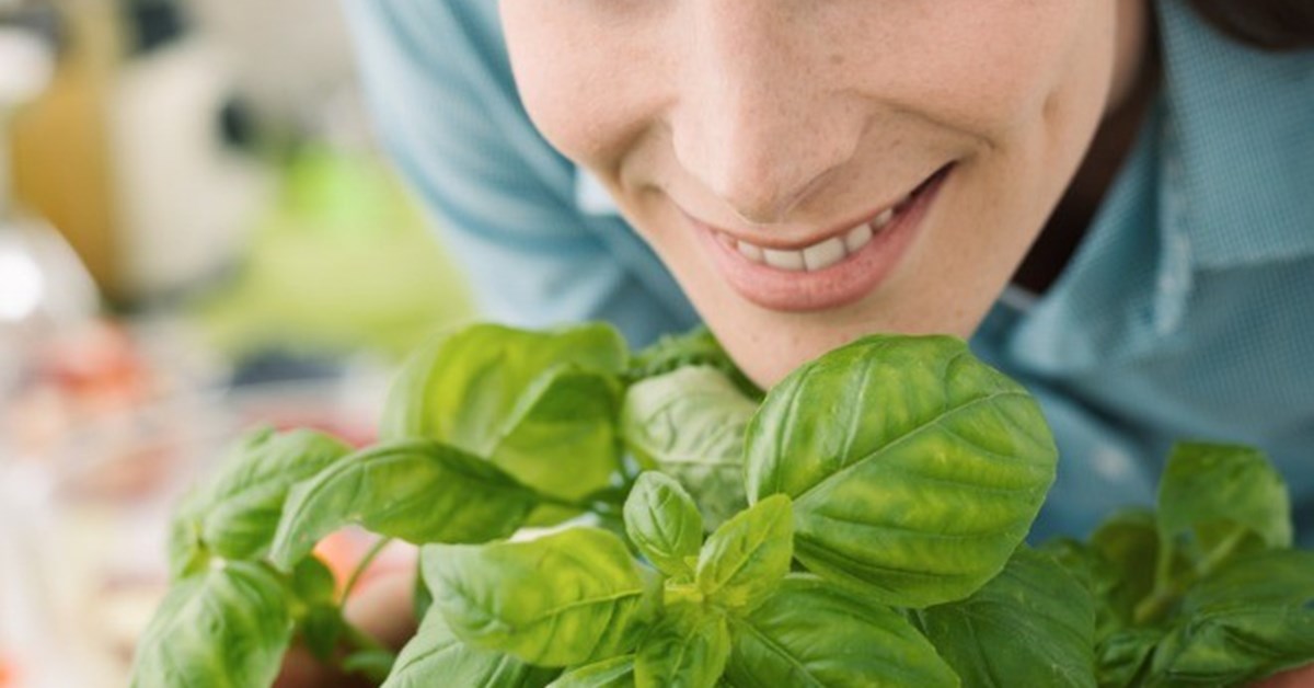 Ώρα για κηπουρική: τι να φυτέψεις τώρα